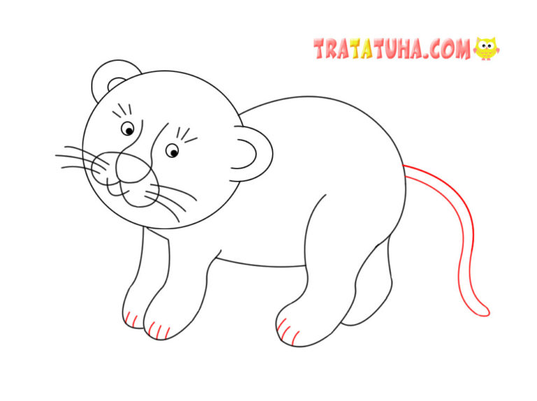 How to Draw a Tiger: Step by Step (2 ways)