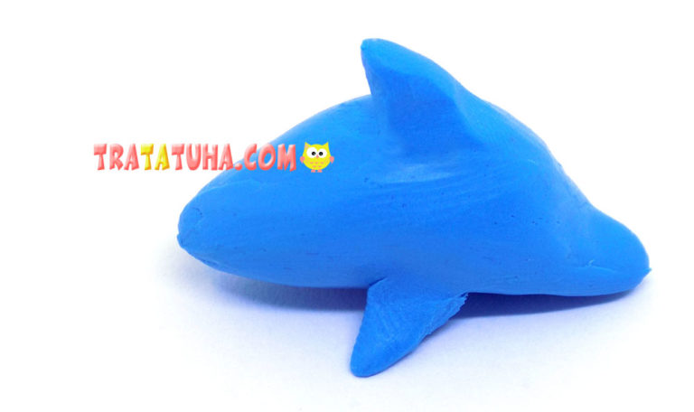 Clay Dolphin Step by Step
