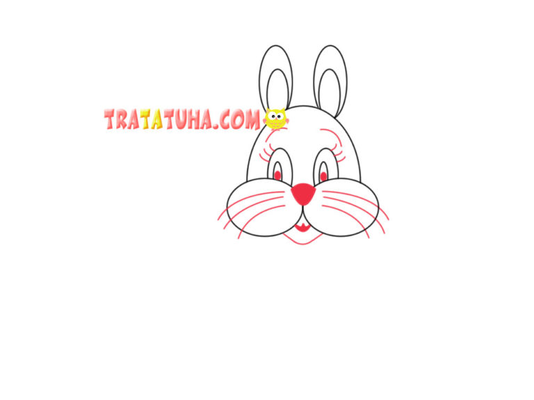 How to Draw a Bunny: 6 Options for Kids Step by Step
