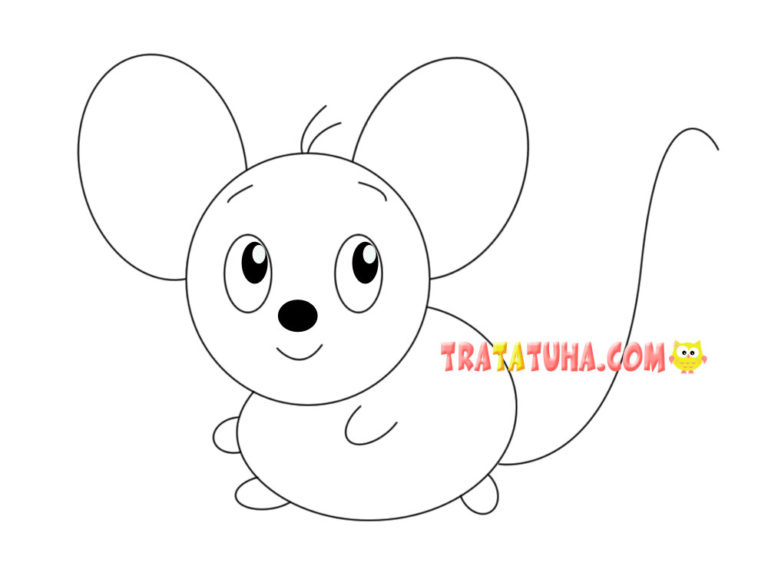 How to Draw a Mouse: 5 Ways Step by Step