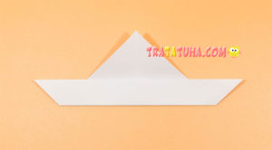 Origami Seagull: Step by Step Instructions