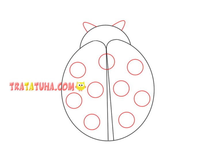 How to Draw a Ladybug — 4 Step by Step for Kids