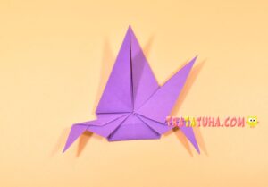Origami Spider — Step by Step Instruction