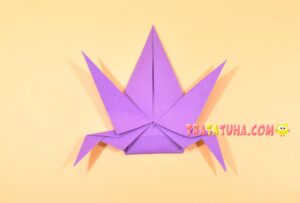 Origami Spider — Step by Step Instruction