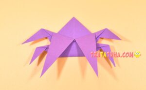 Origami Spider — Step by Step Instruction