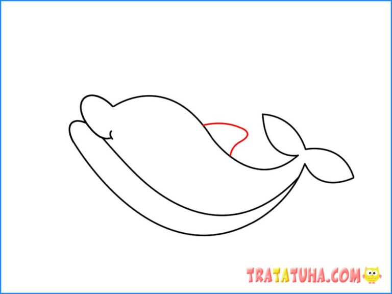 How to Draw a Dolphin — 5 Ways Step by Step