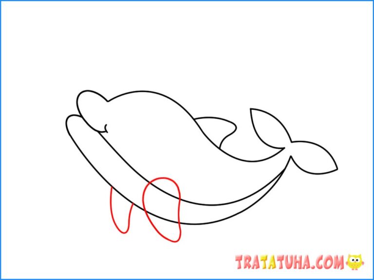 How to Draw a Dolphin — 5 Ways Step by Step