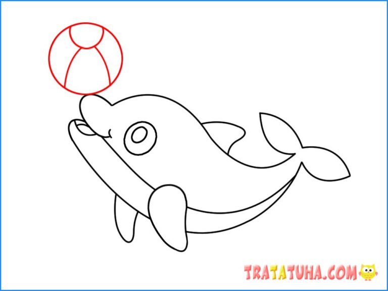 How to Draw a Dolphin — 5 Ways Step by Step