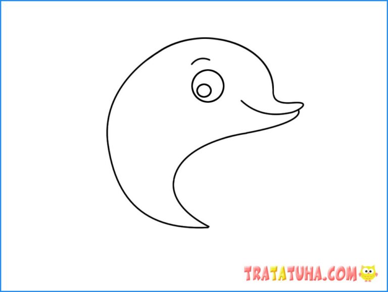 How to Draw a Dolphin — 5 Ways Step by Step