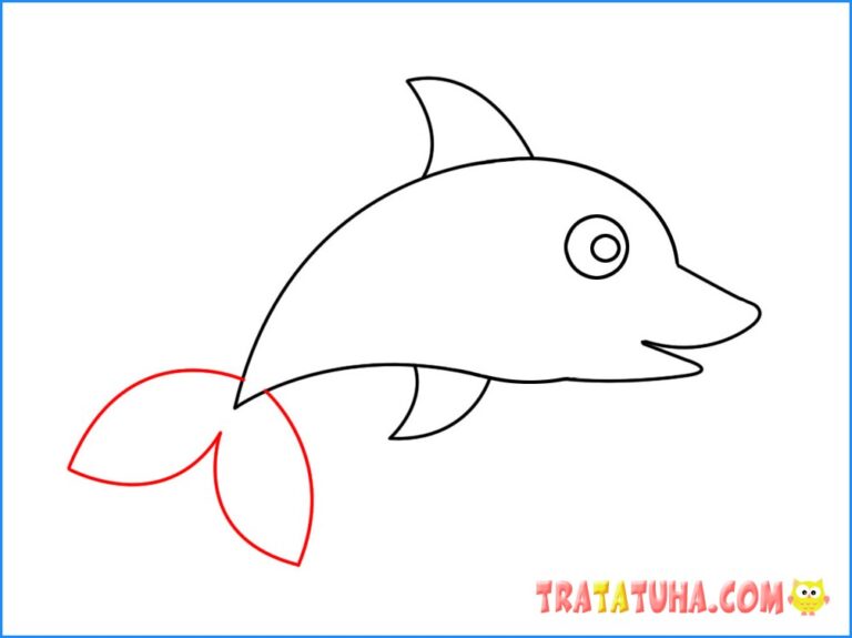 How to Draw a Dolphin — 5 Ways Step by Step