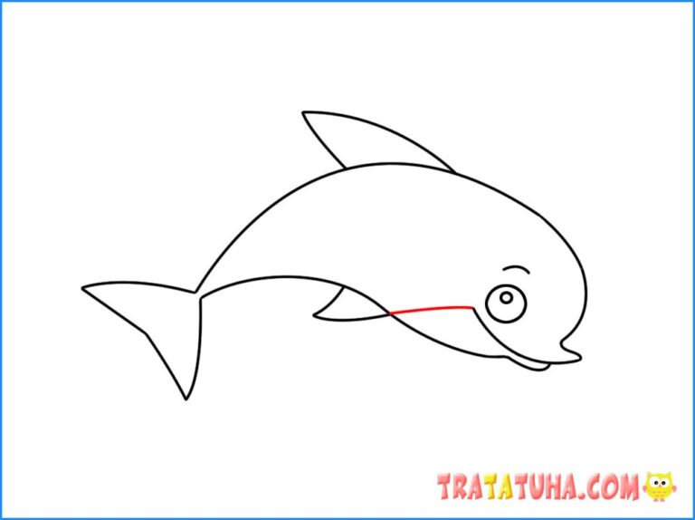 How to Draw a Dolphin — 5 Ways Step by Step