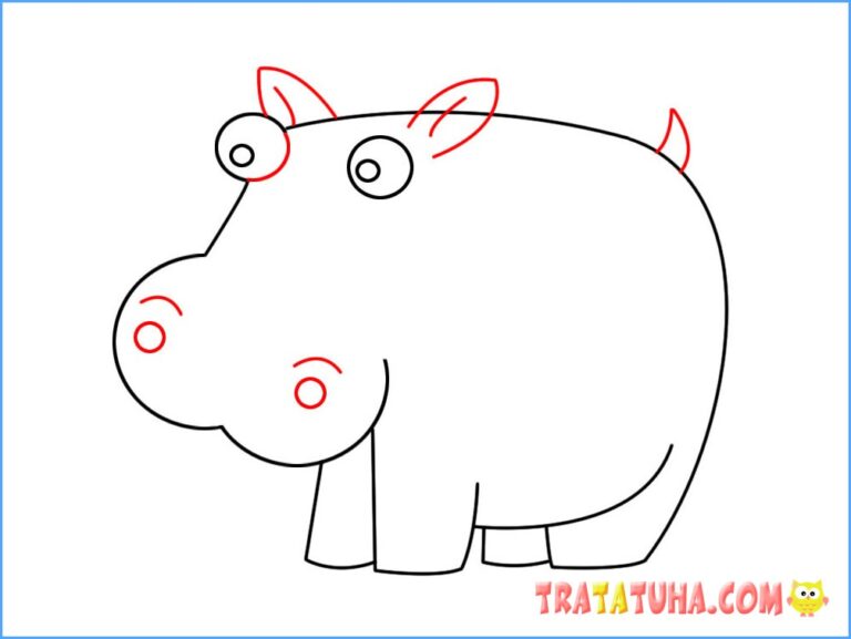 How to Draw a Hippopotamus