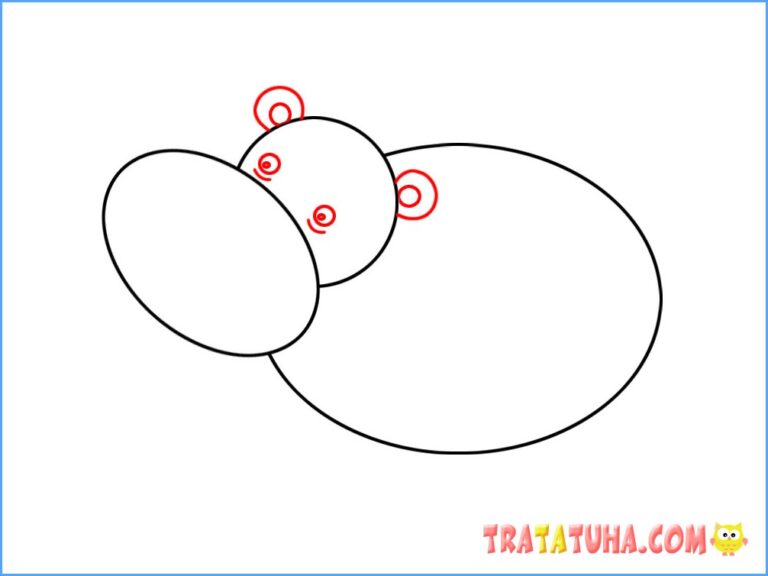How to Draw a Hippopotamus