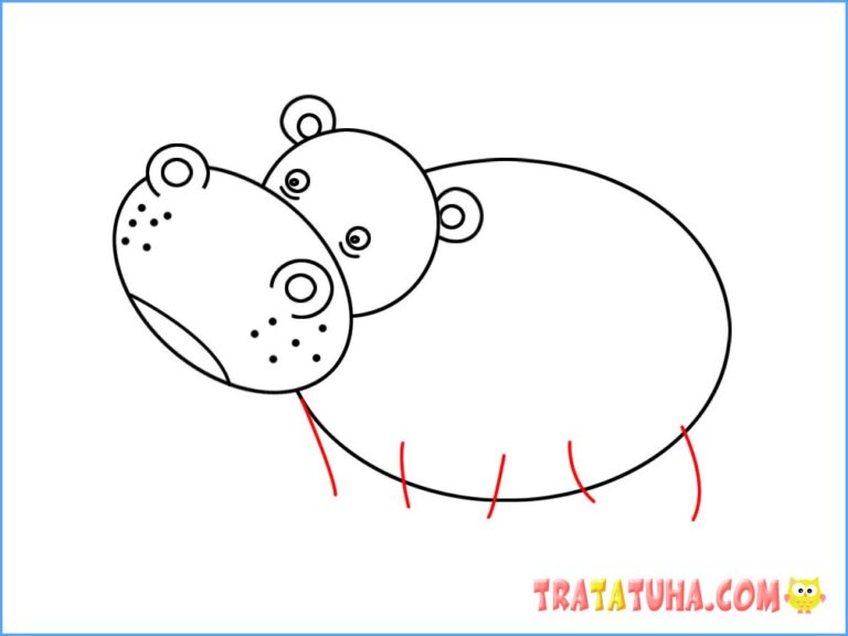 How to Draw a Hippopotamus