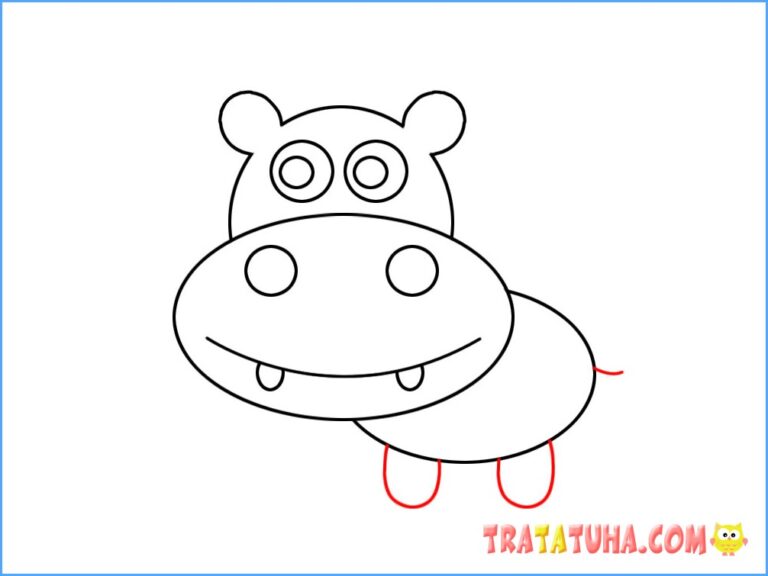 How to Draw a Hippopotamus