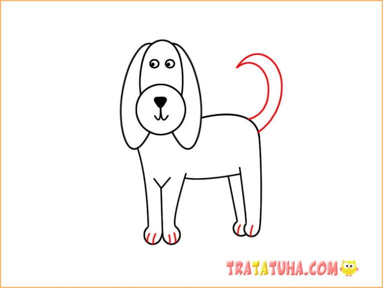 How to Draw a Dog Step by Step — 6 Options for Kids