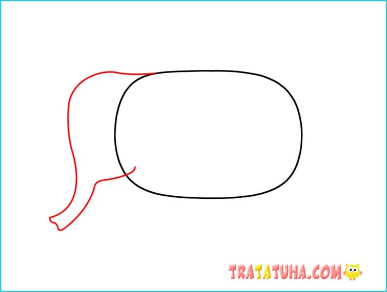 How to Draw an Elephant Step by Step — 6 Lessons for Kids